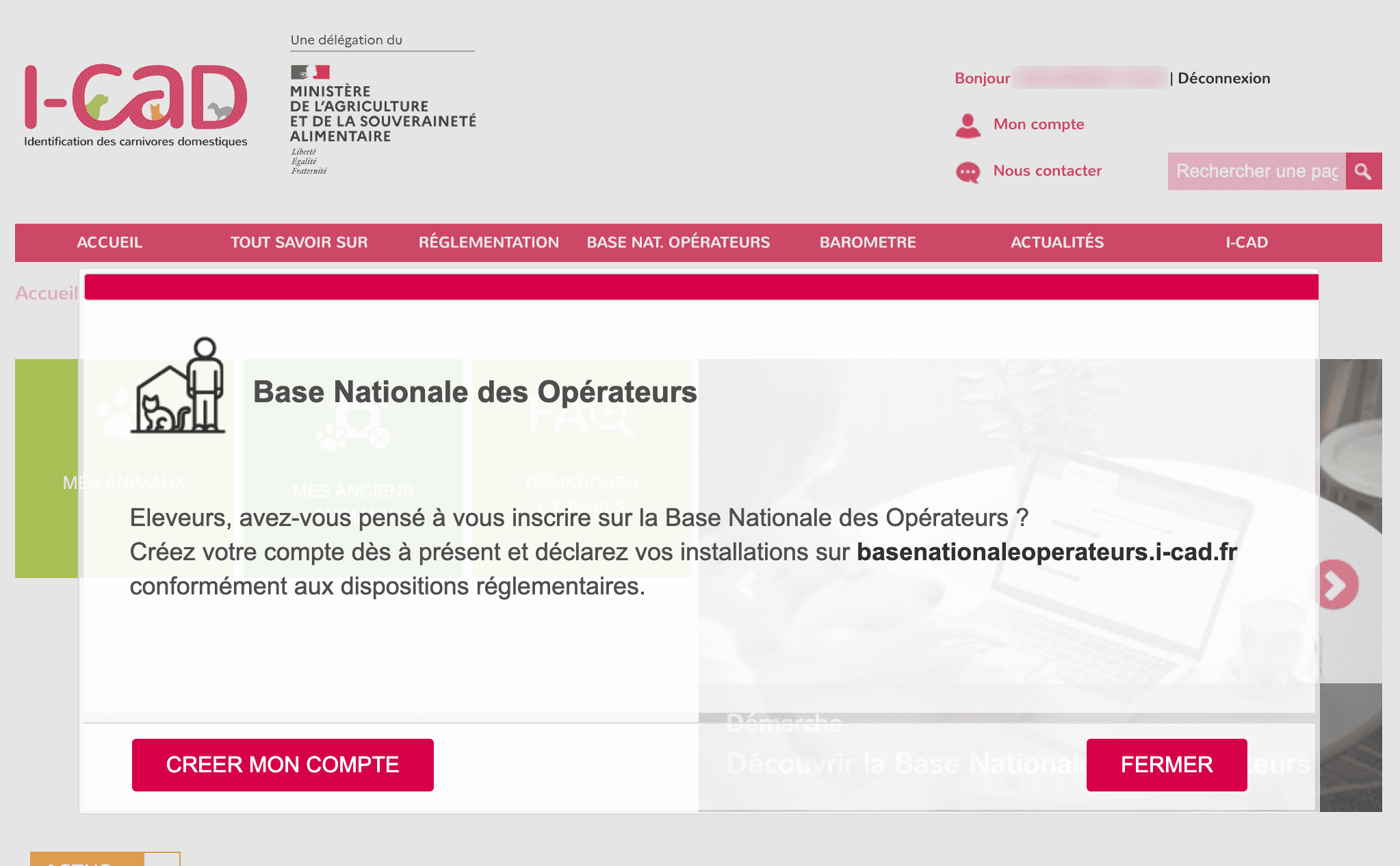 Base Nationale des Opérateurs (BNO) pour les éleveurs chats